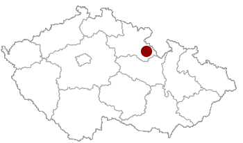 Kvasiny - Historie obce