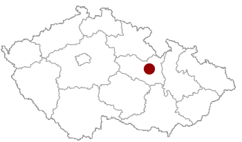 Pazucha